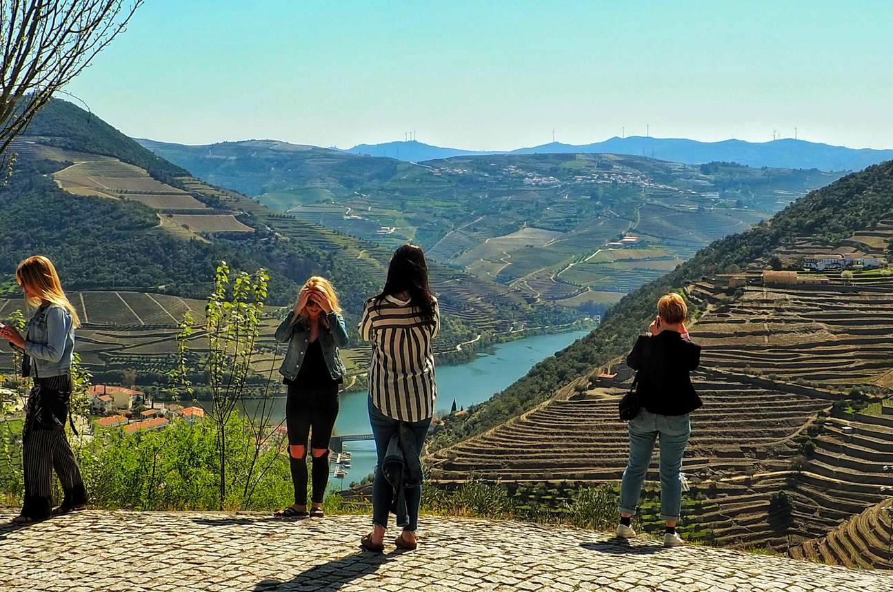 Douro Valley Wine Venture Tour from Porto - Klook New Zealand