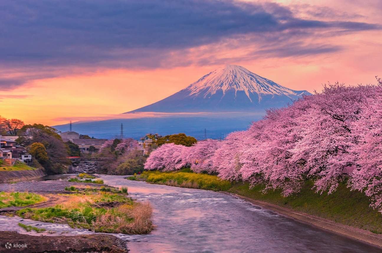 Tokyo/Yokohama/Nikko/Karuizawa//Mount Fuji/Hakone/Kamakura/Yokohama ...