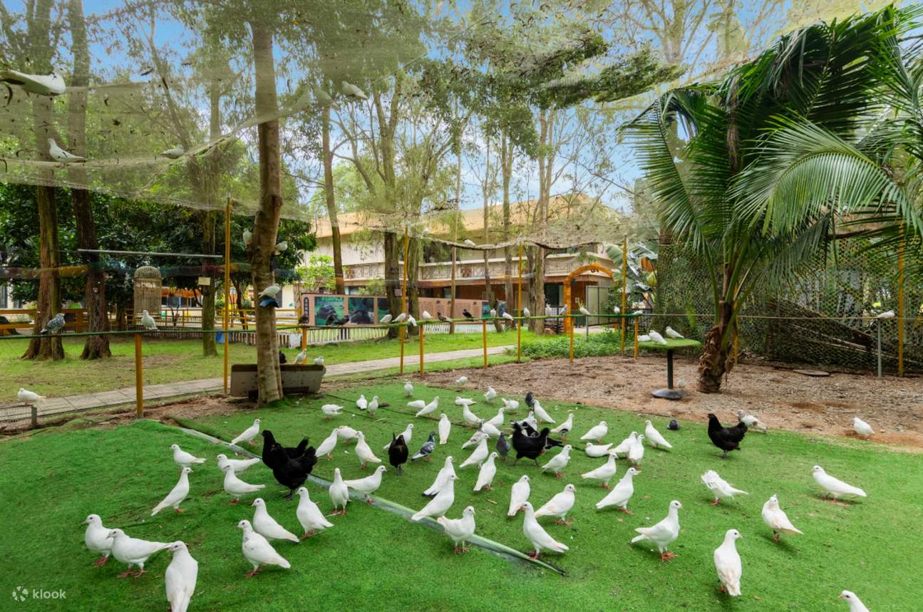 Hainan Lingshui Lotte Homestay Make friends with world-class giant ...