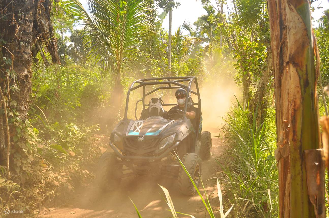 Buggy Discovery Tour in Payangan Bali - Klook
