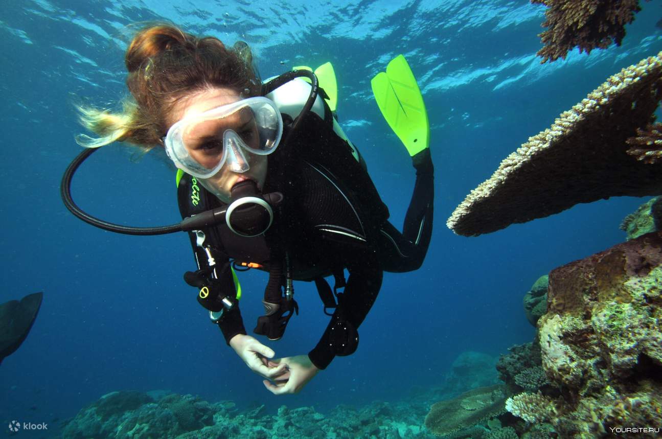 Menyelam Scuba Kemer dengan Makan Siang BBQ & Transfer dari Belek ...