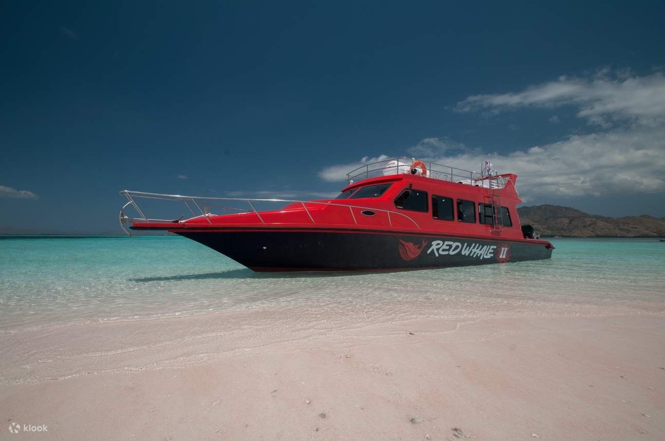 Red Whale Speedboat Full Day Tour dari Labuan Bajo - Klook Indonesia