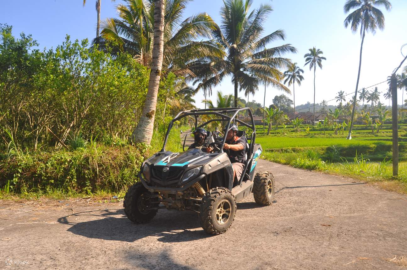 Buggy Discovery Tour in Payangan Bali - Klook India