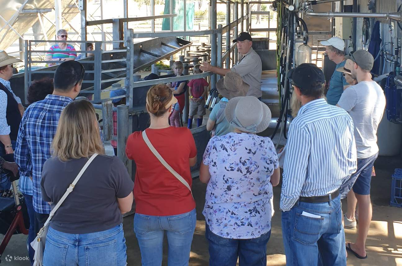 Camel Farm Tour and Product Tasting Experience in Brisbane - Klook
