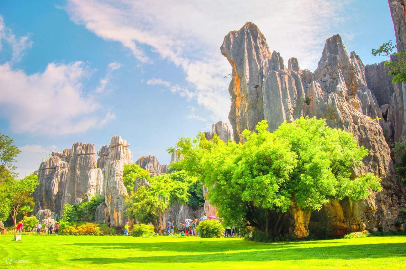 One-Day Tour to Stone Forest and Jiuxiang Scenic Area in Yunnan ...