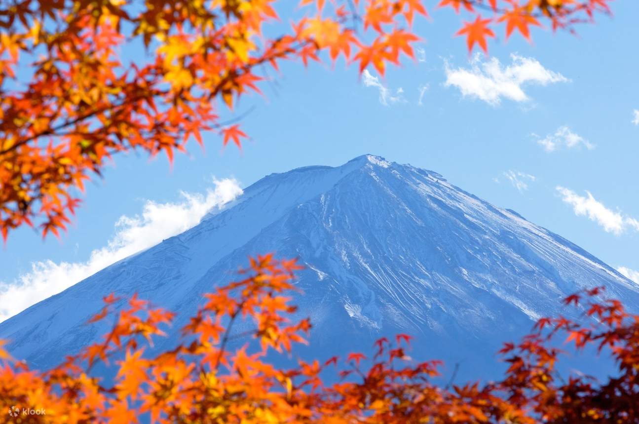 Tokyo/Yokohama/Nikko/Karuizawa//Mount Fuji/Hakone/Kamakura/Yokohama ...