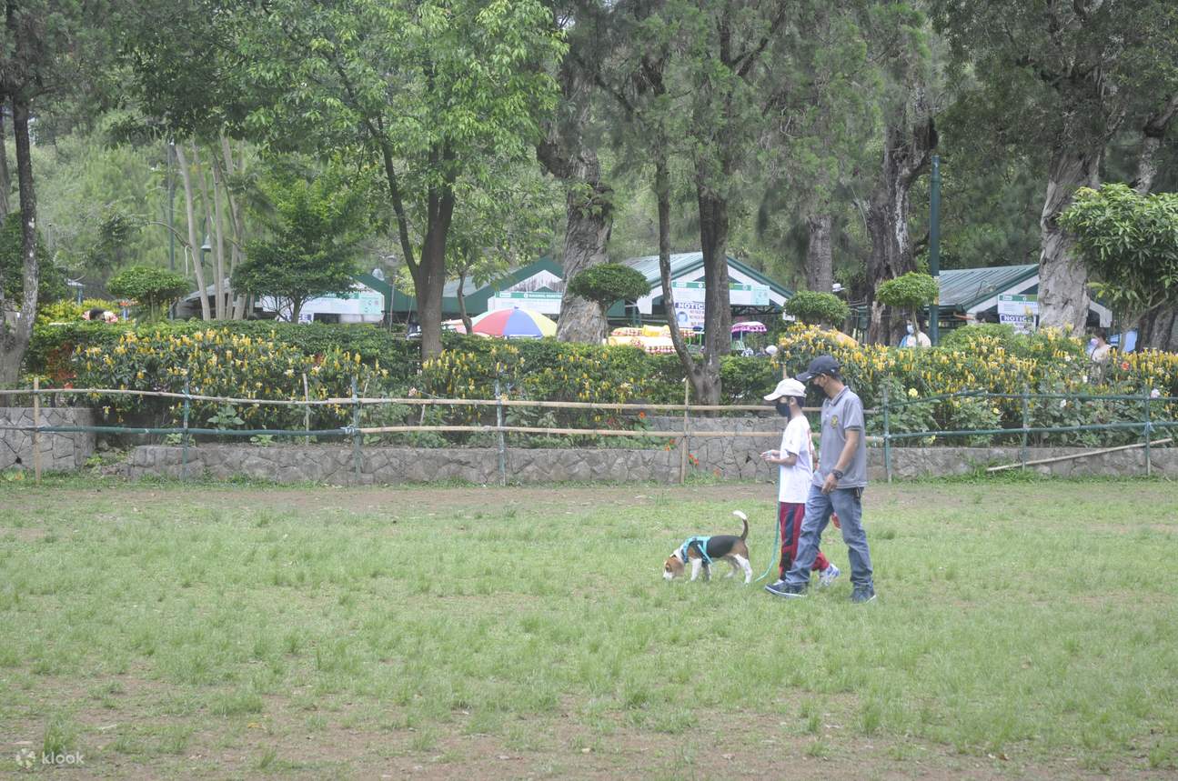 Burnham Park Guided Walking Tour in Baguio - Klook