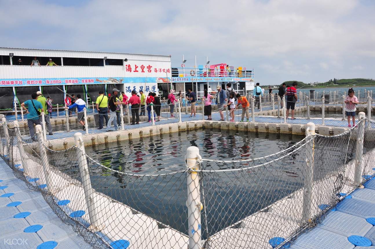 【牡蛎吃到饱】澎湖海洋牧场体验 Klook客路 中国