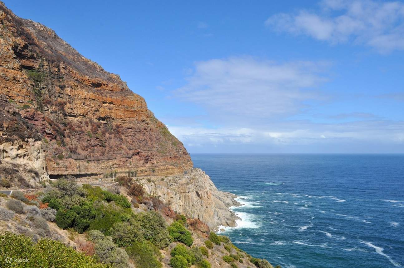 Full Day Private Tour to Cape Peninsula - Klook Singapore