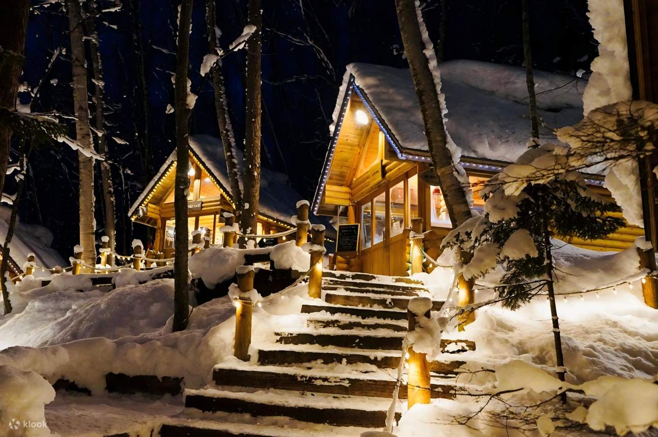 Asahiyama Zoo, Shirohige Falls, and Ningle Terrace Day Trip from ...