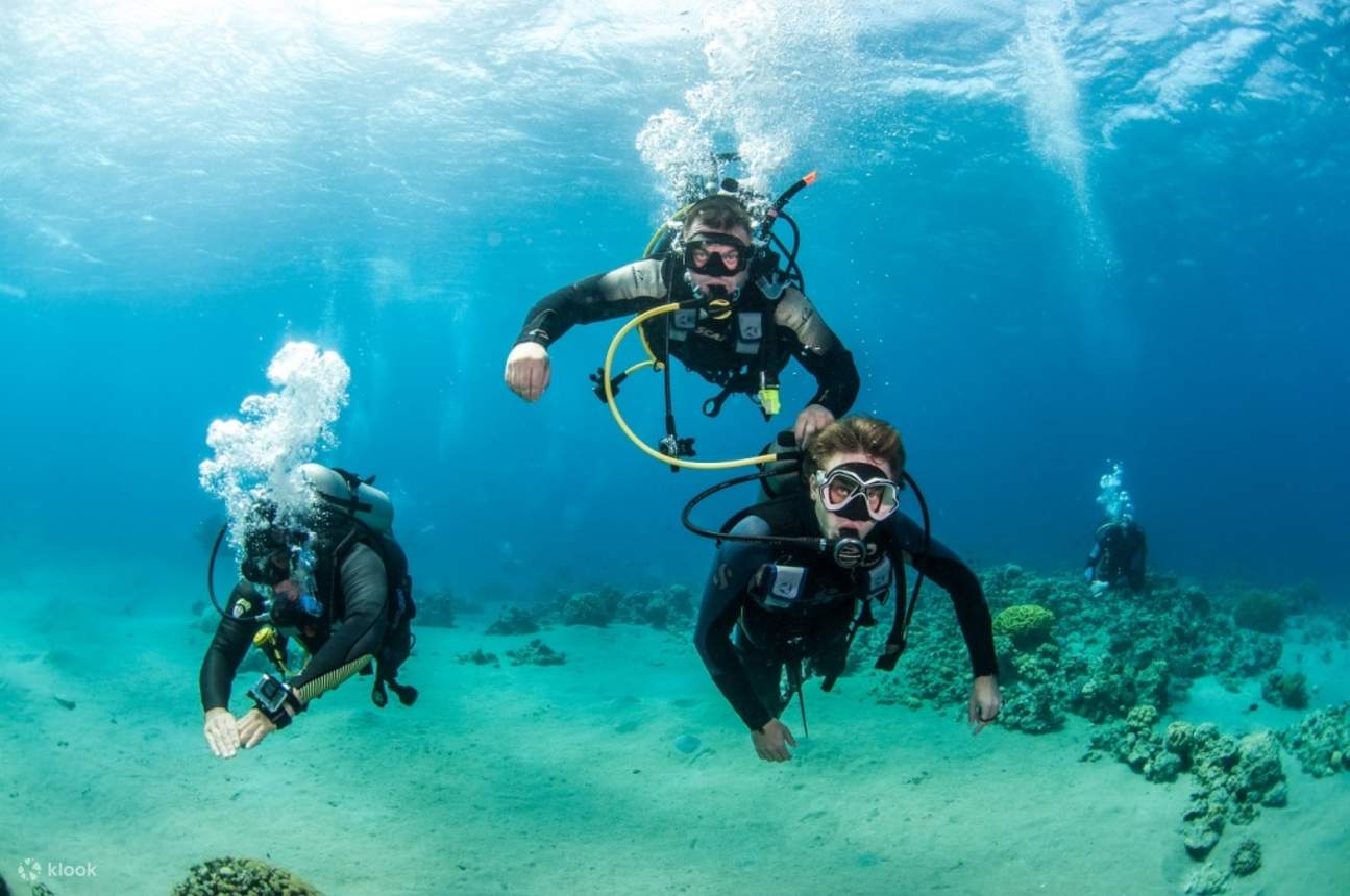 Scuba Diving Boat Trip With Lunch For Beginners – Marsa Alam - Klook India