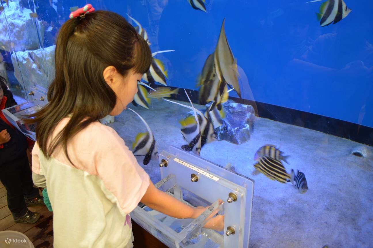 Minamichita Beach Land Admission in Aichi - Klook United States