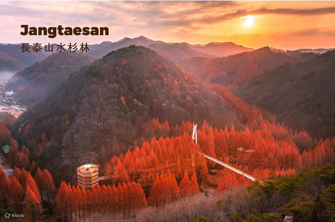 Jeonju Hanok Village & Seasonal Popular Attractions Day Tour - Klook