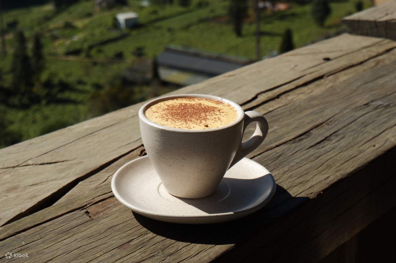 Sapa Coffee Workshop: Crafting 6 Perfect Signature Coffee Styles ...
