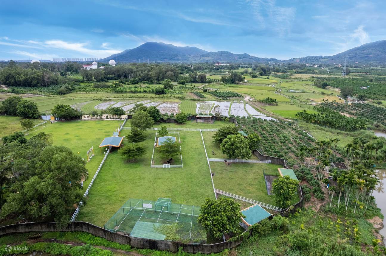 Hainan Lingshui Locean Serenity Home 1/2 Day Tour: Befriend a World ...