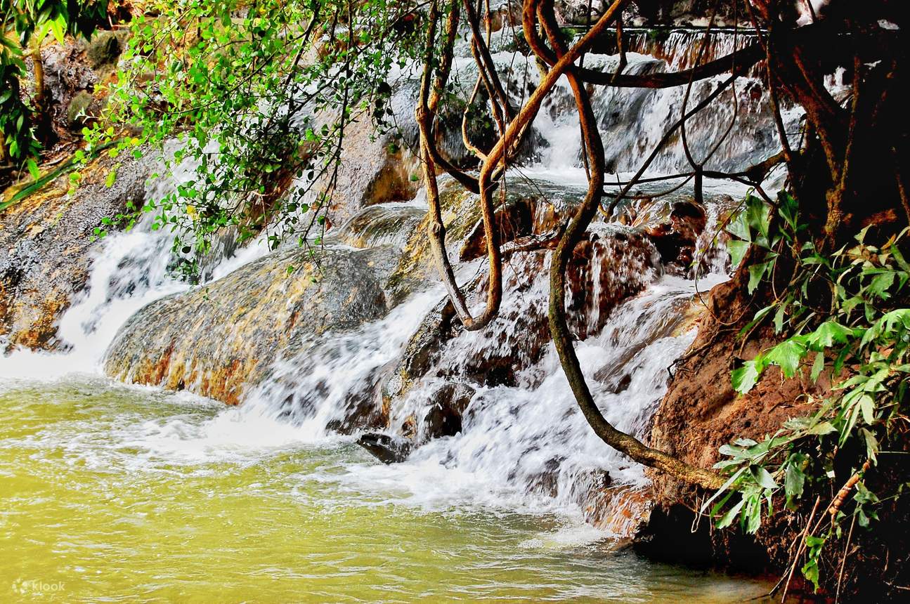 Tiger Cave Temple, Emerald Pool & Hot Springs Tour from Krabi – Full ...