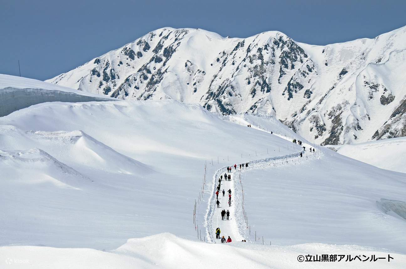 Snow Wall Bus Tour with English Speaking Guide from Nagoya - Klook