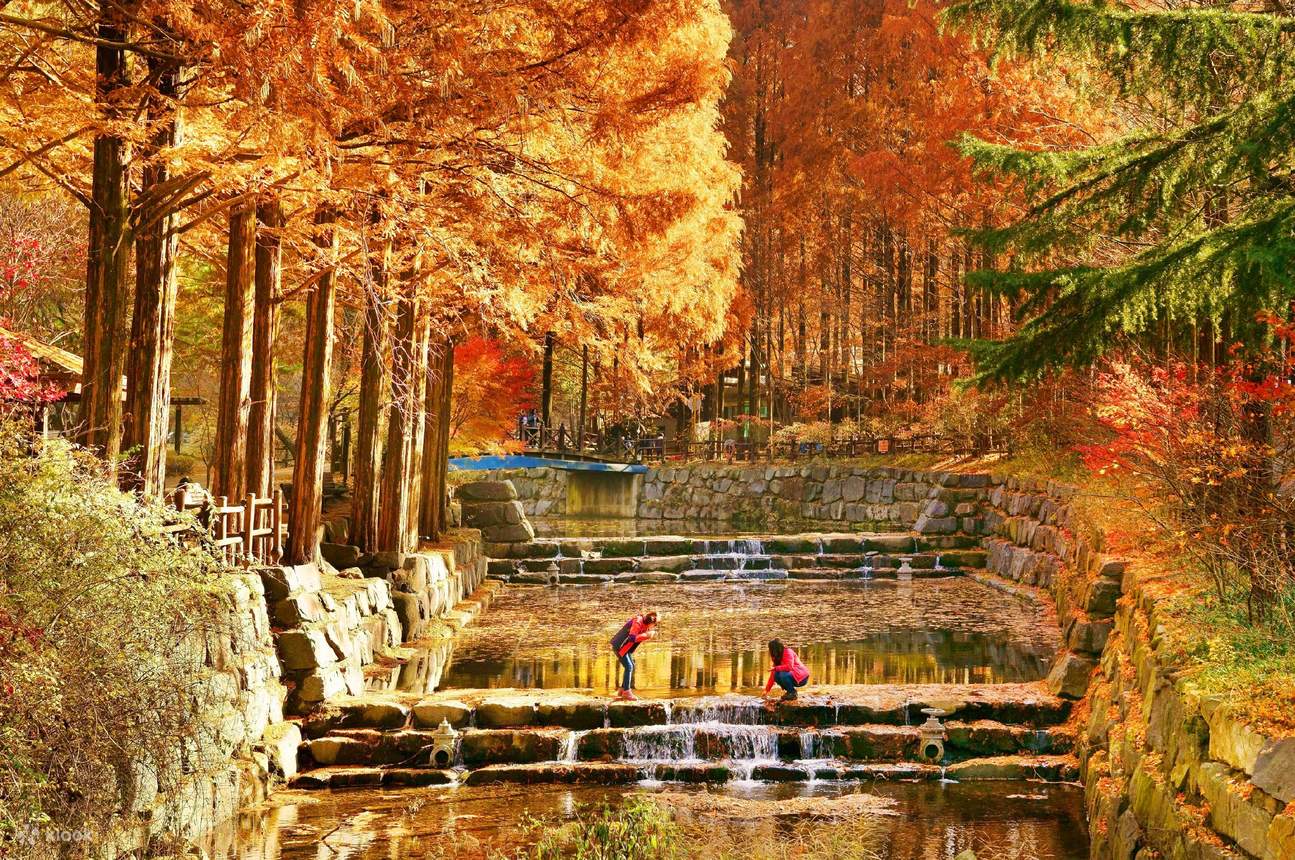 Jeonju Hanok Village & Seasonal Popular Attractions Day Tour - Klook India