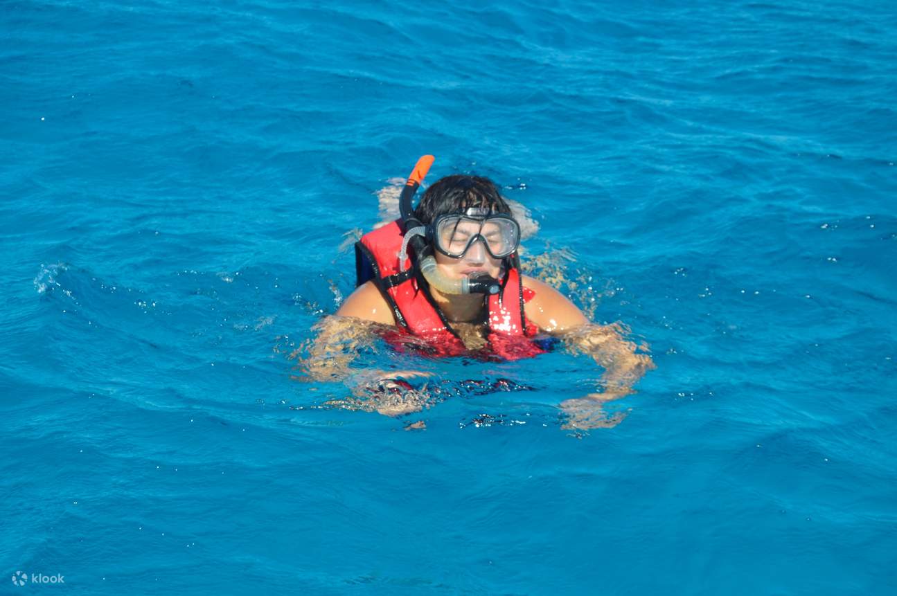 Dolphin House Reef Snorkeling Adventure & Transfers – Marsa Alam ...