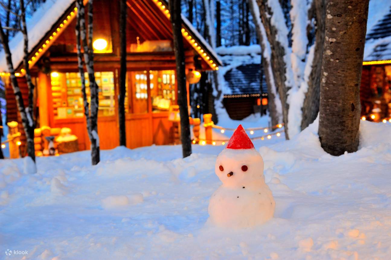 Asahiyama Zoo & Forest Fairy Terrace & Shikisai Hill One Day Tour ...