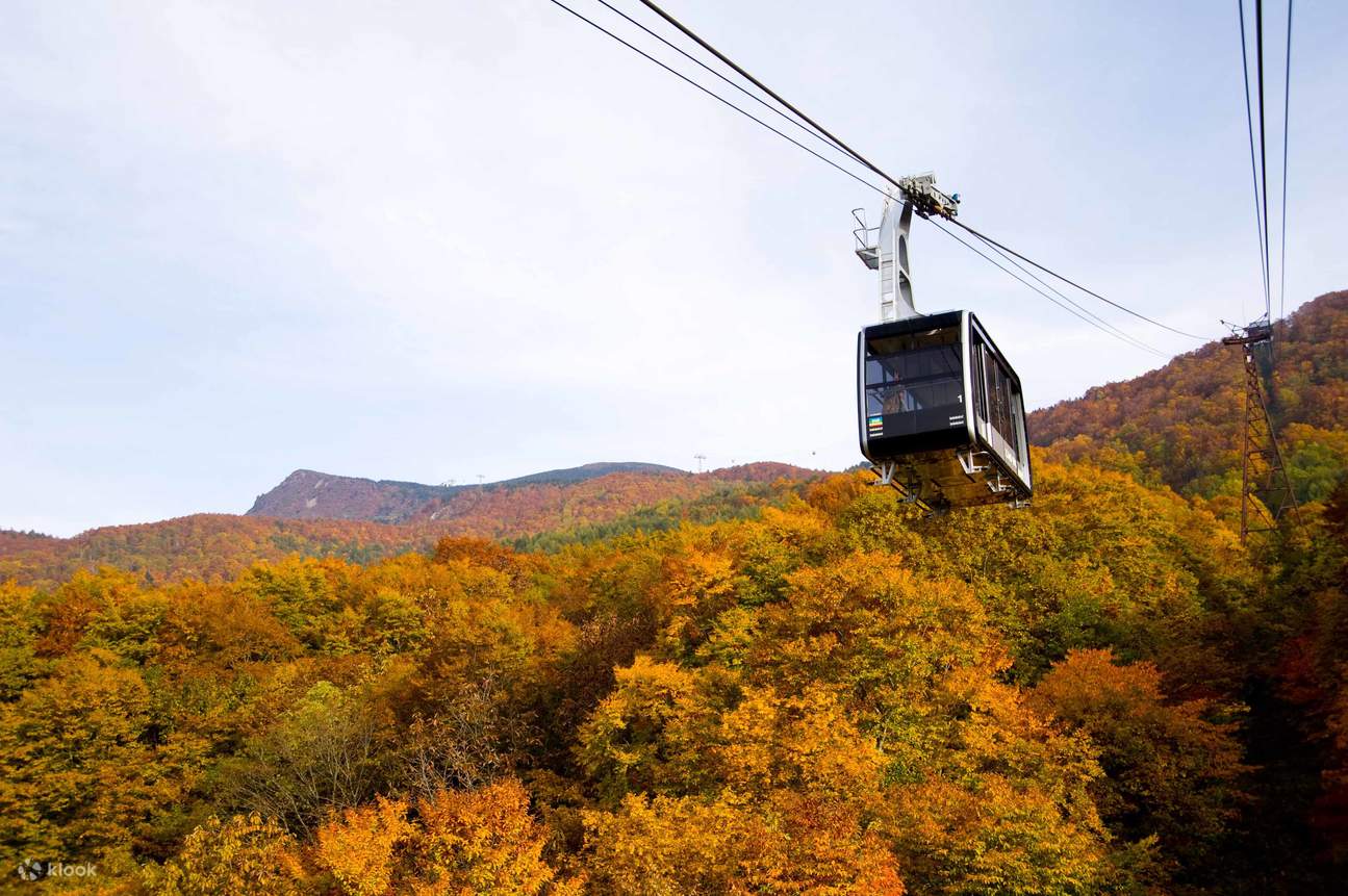 Tiket Pulang Pergi Zao Ropeway di Yamagata, Jepang - Klook Indonesia