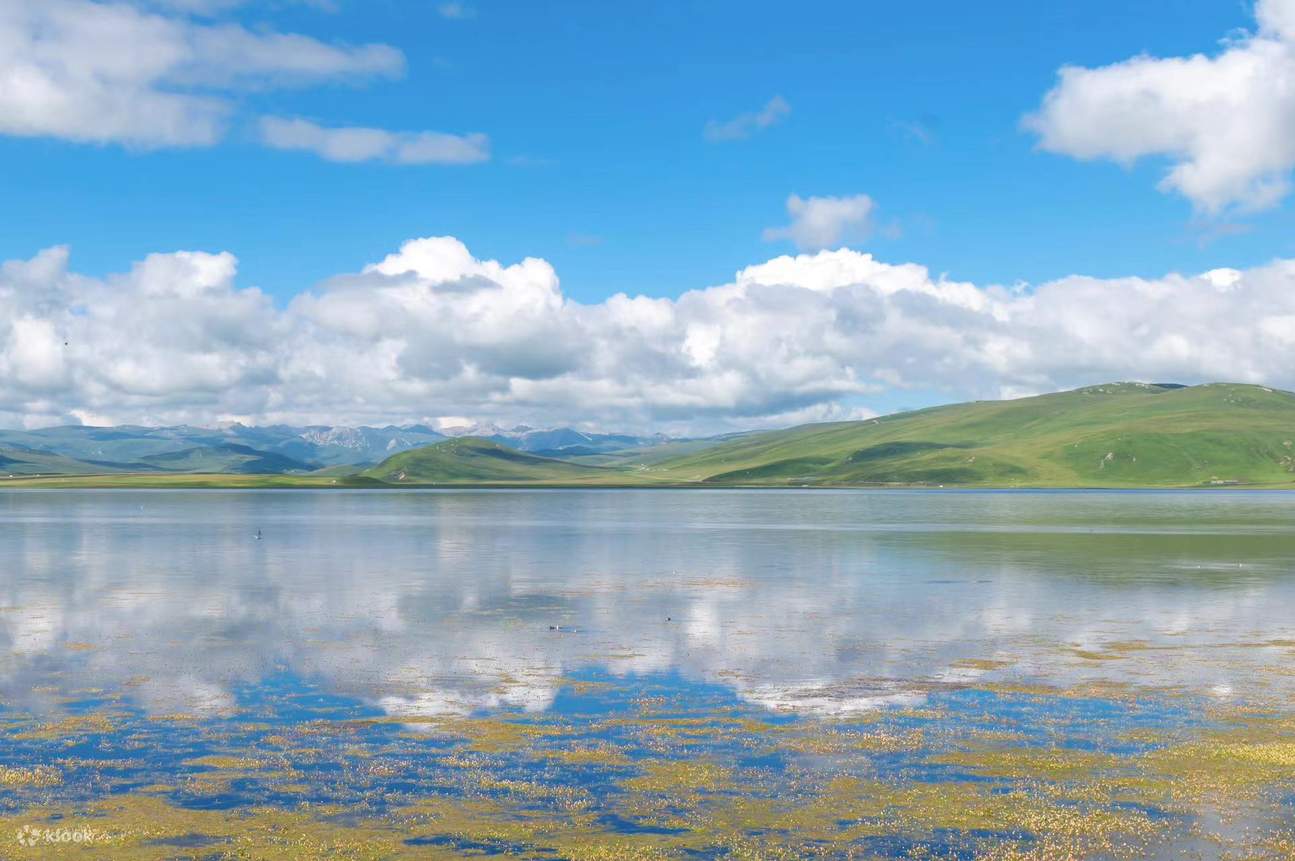 Padang Rumput Hulun Buir Mongolia Dalam 7 hari 6 malam - Klook Indonesia