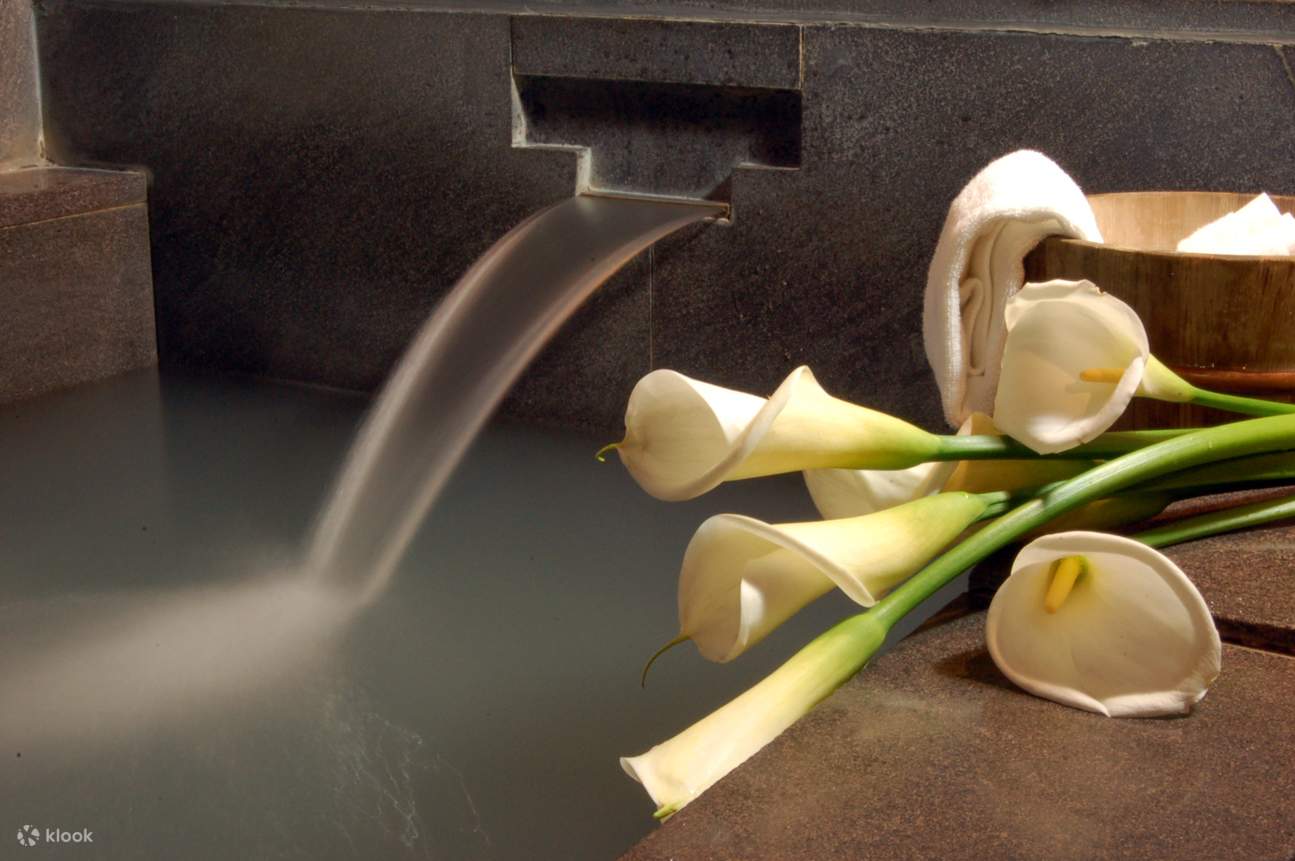 Spring City Resort Beitou Hot Spring Spa - Klook Singapore
