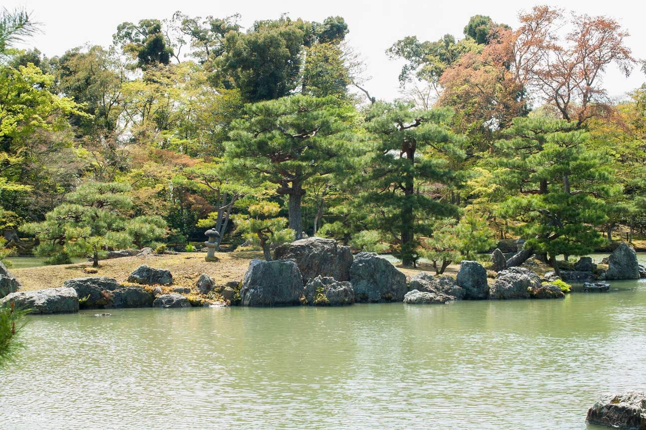 Golden Pavilion Kinkaku-ji Tour with National Licensed Guide in Kyoto ...