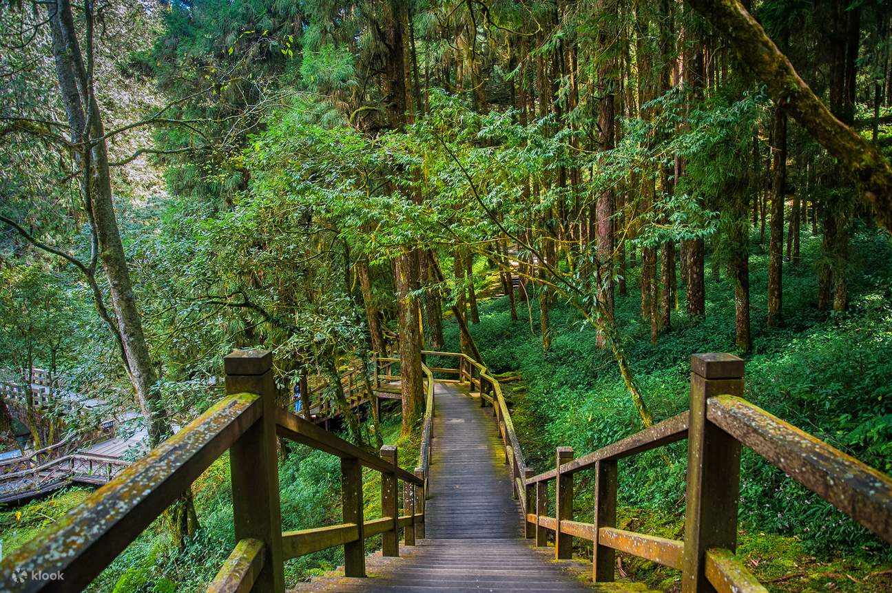 Alishan Private 2-Day Tour from Taipei - Klook