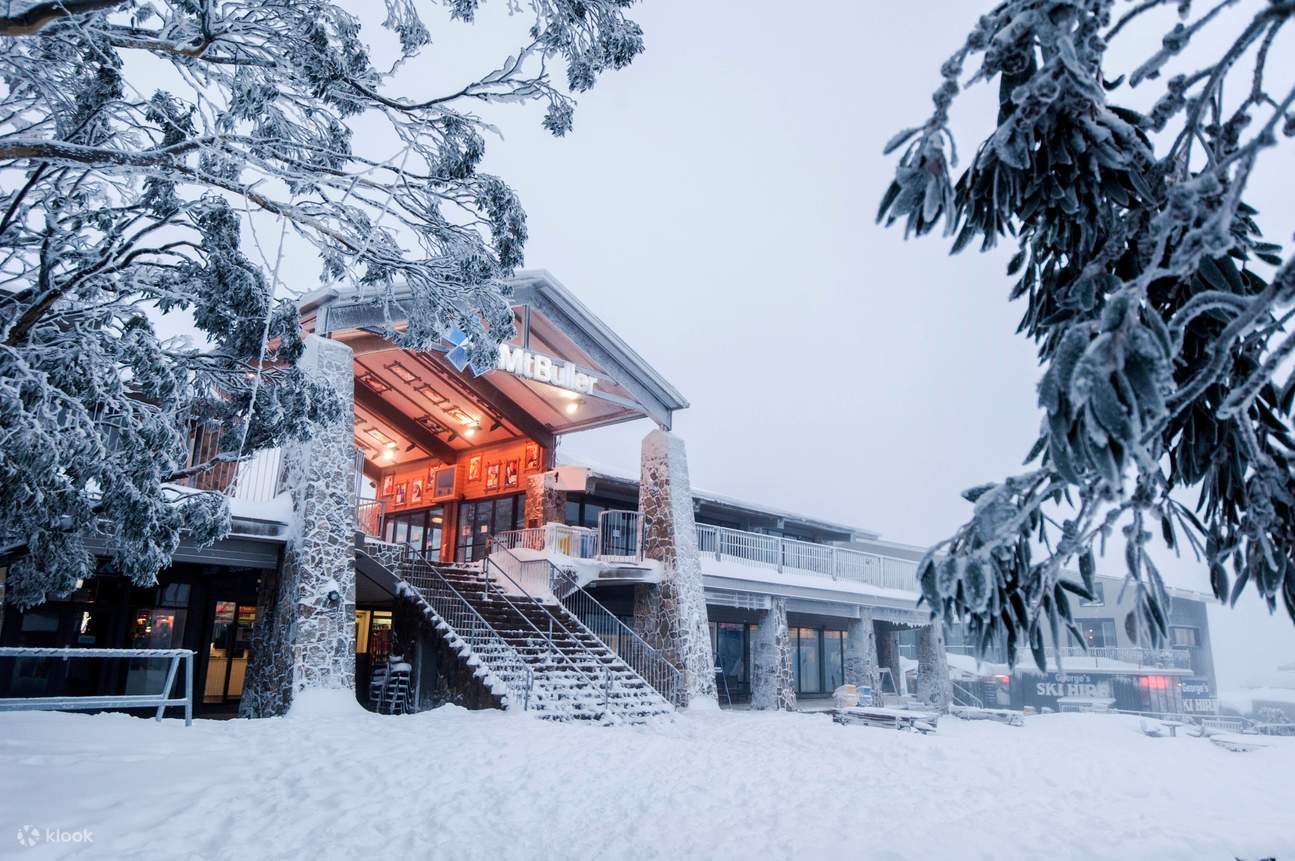 Mt Buller Snow Trip from Melbourne - Klook