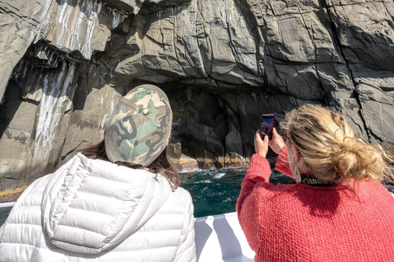 Cape Raoul Kreuzfahrt - Klook, Vereinigte Staaten