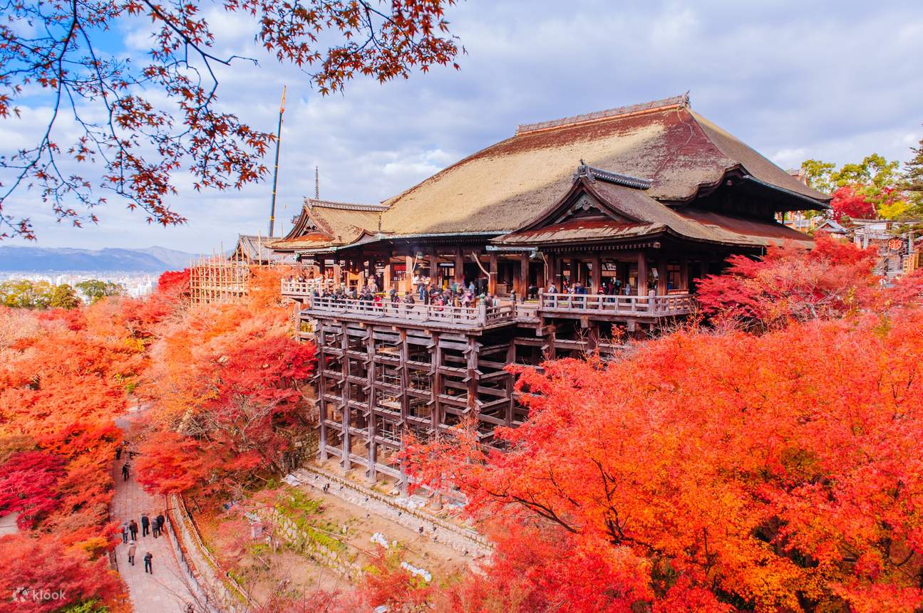 Gita di un giorno a Kyoto Nara │ Tempio Kiyomizu + Santuario Fushimi ...