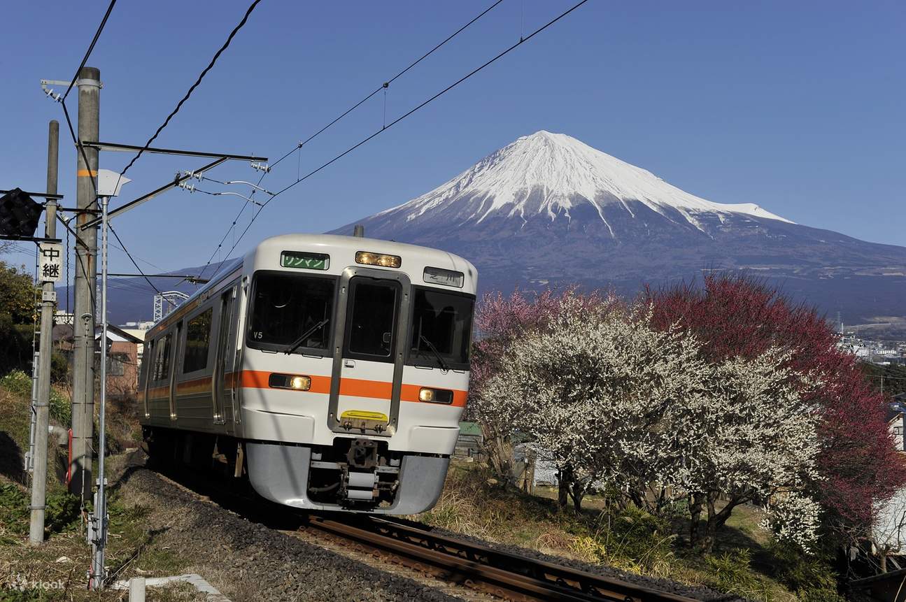 Tur Pertanian Wasabi Mt. Fuji & Shizuoka dengan Kereta Hokusai ...