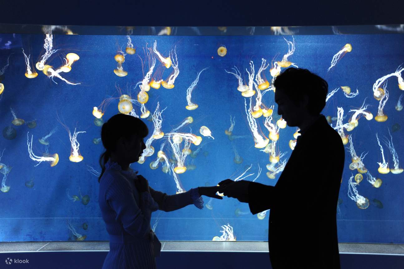 新江之島水族館門票 Klook 客路