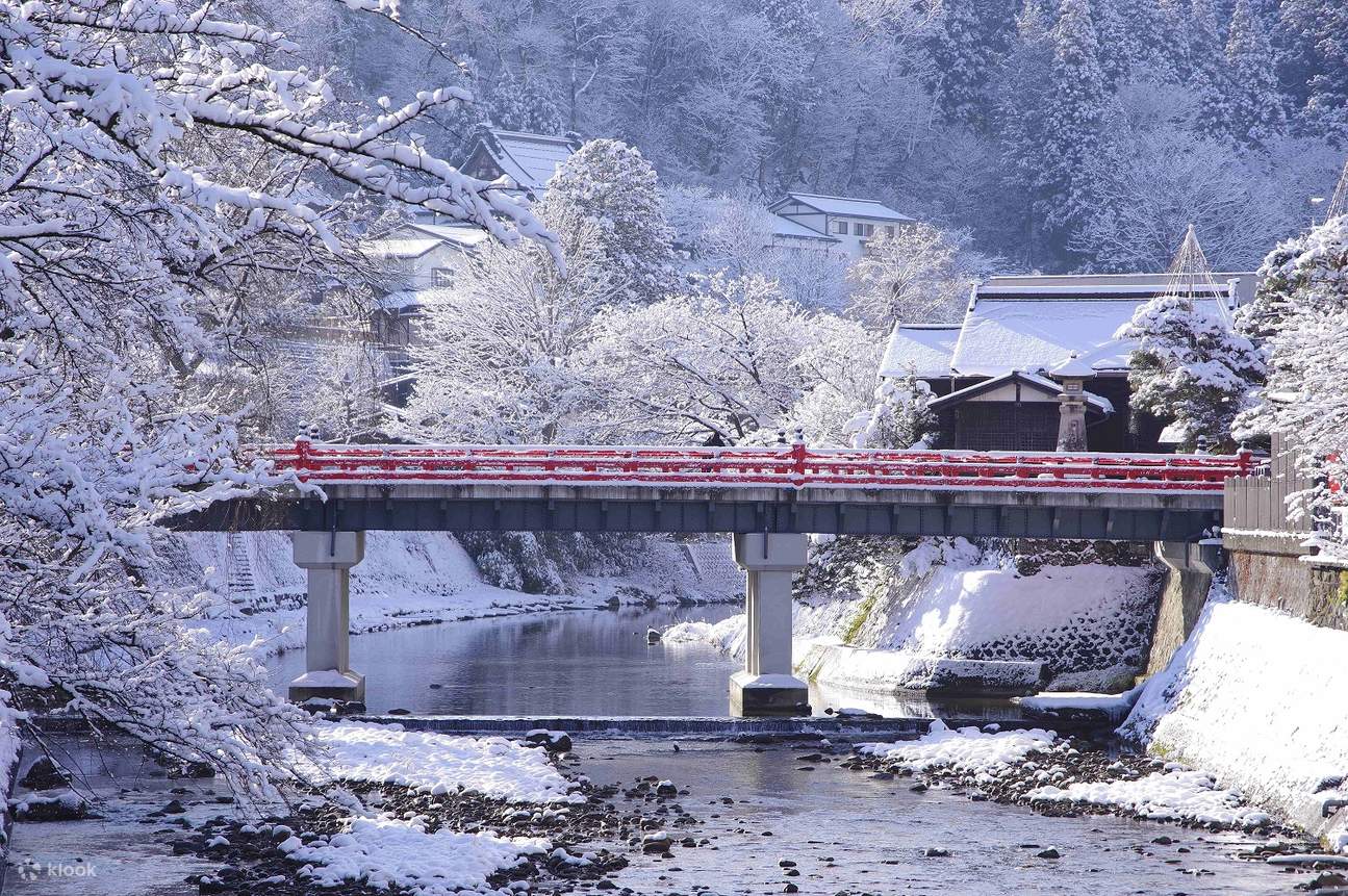 Shirakawago Light-Up von der Sternwarte auf einer 2-Tages-Bustour ab ...