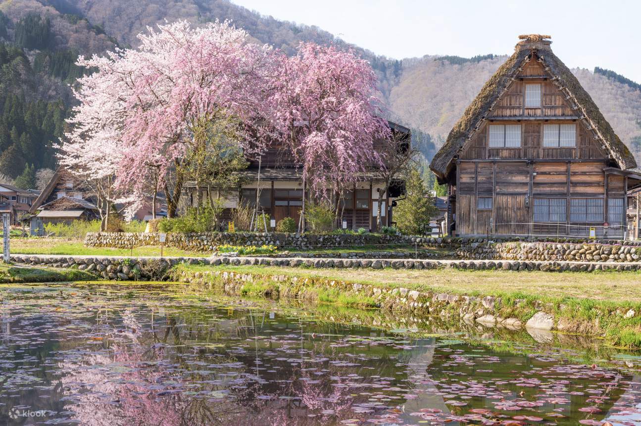 Gifu Shirakawa-go Gassho Village & Hida Takayama Old Town Day Tour - Klook United Kingdom