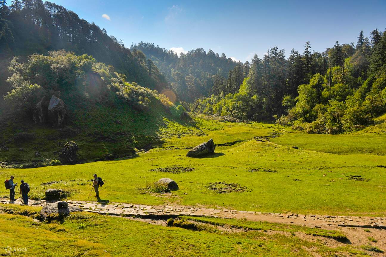 Discover Untamed Beauty: Khaptad National Park Trekking Adventure - Klook