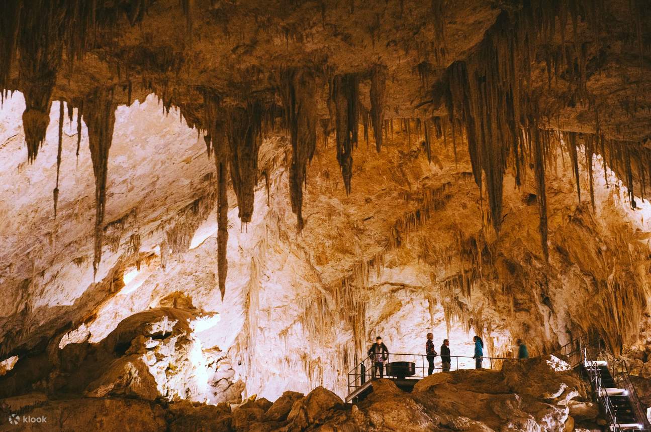 Mammoth Cave Self-Guided Audio Tour in Margaret River - Klook Australia