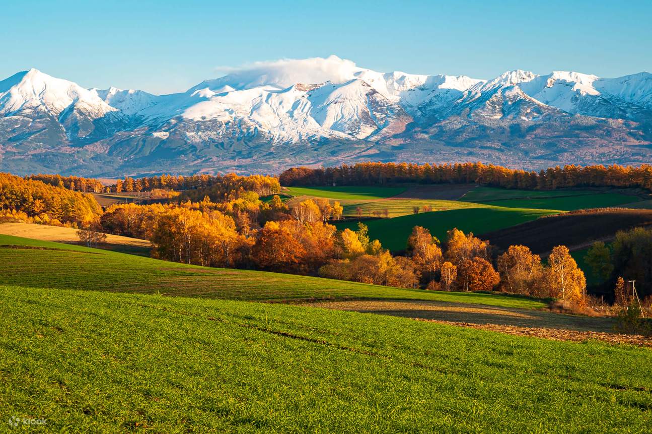 Illumination Tour: Furano Elf Terrace, Biei Blue Pond & Shirahige Falls ...