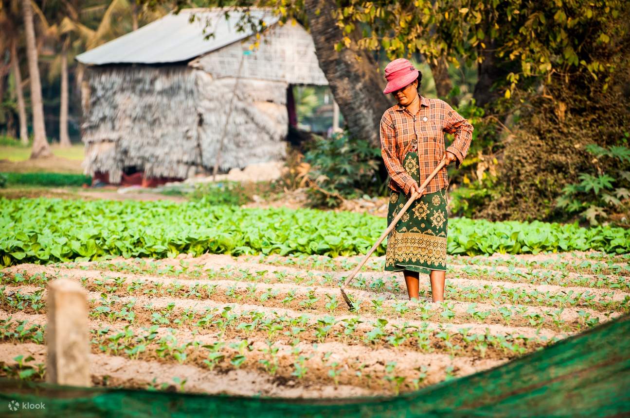 Siem Reap: Morning Countryside Bike Tour - Klook Philippines