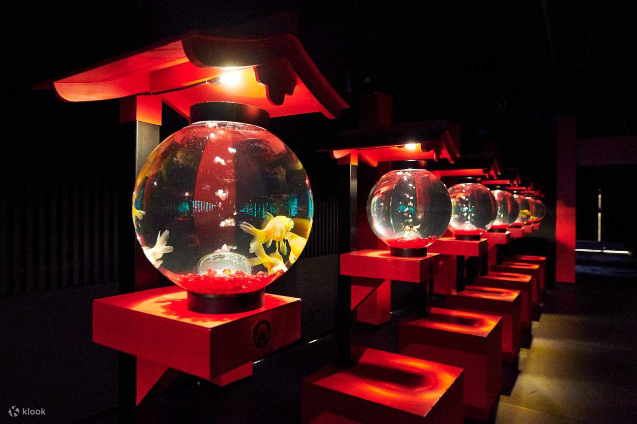 Art Aquarium Museum GINZA Admission Ticket - Klook United States