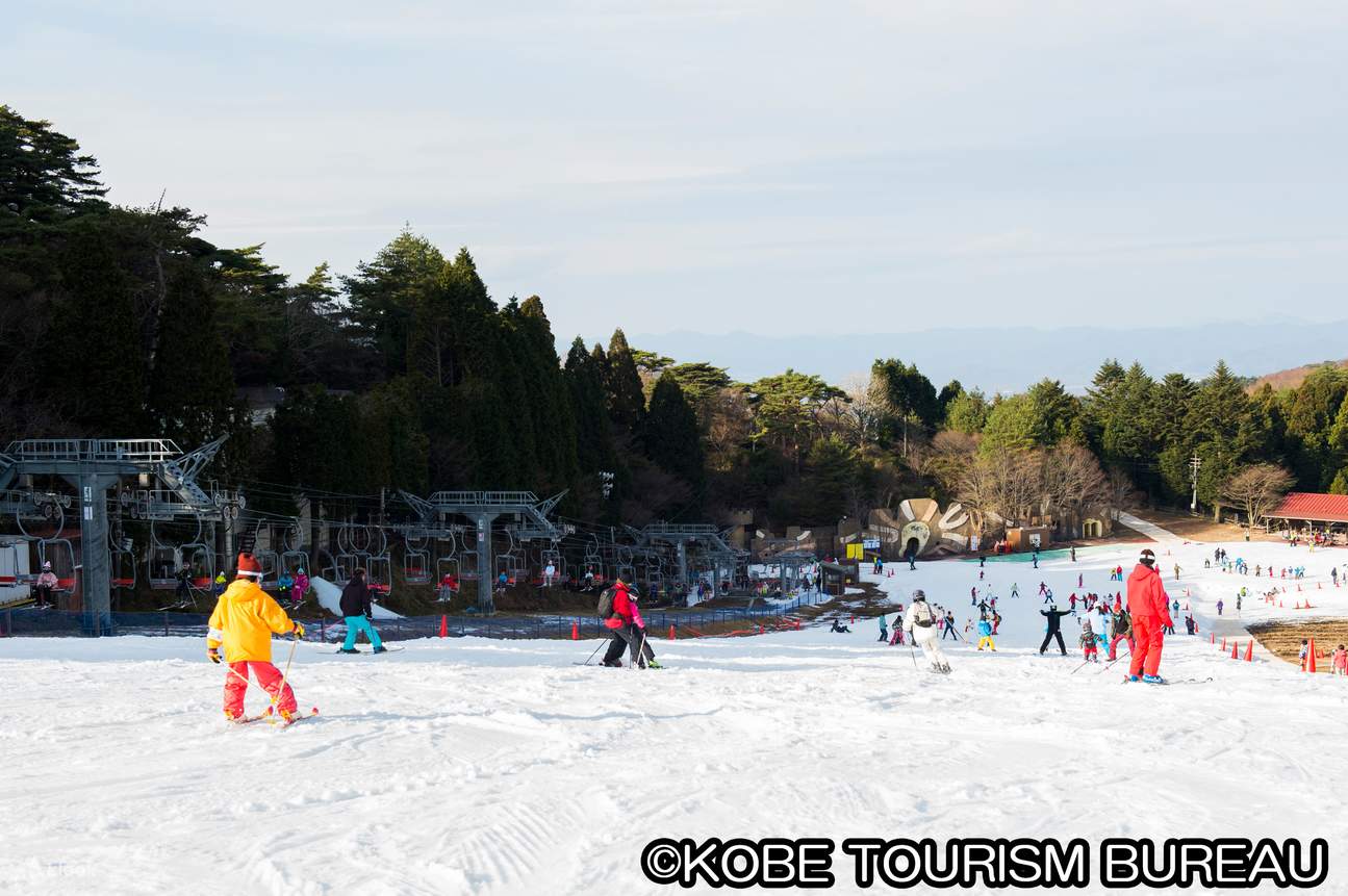 Mt. Rokko Ski, Arima Onsen, & Kobe Sanda Premium Outlets Day Tour ...