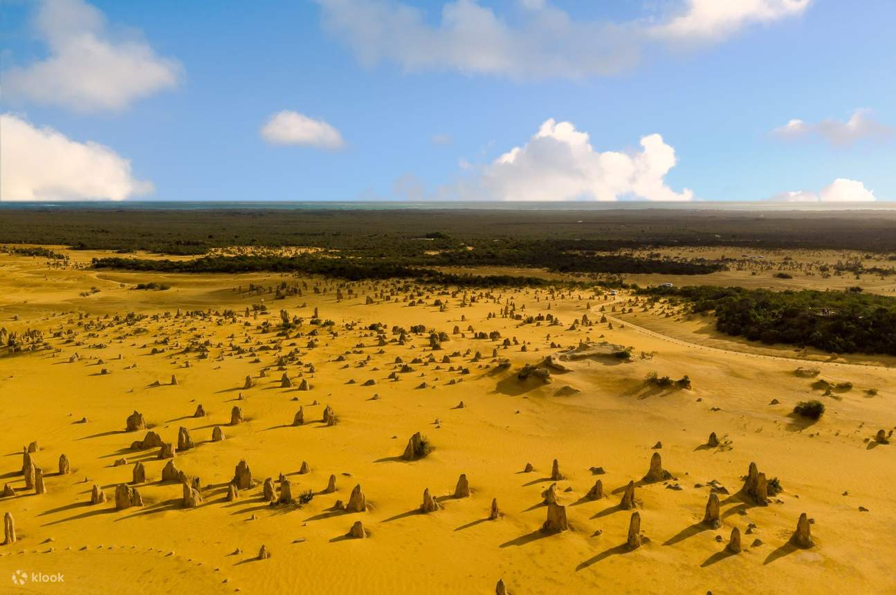 Los pináculos, los koalas y la aventura en la arena - Klook Estados Unidos