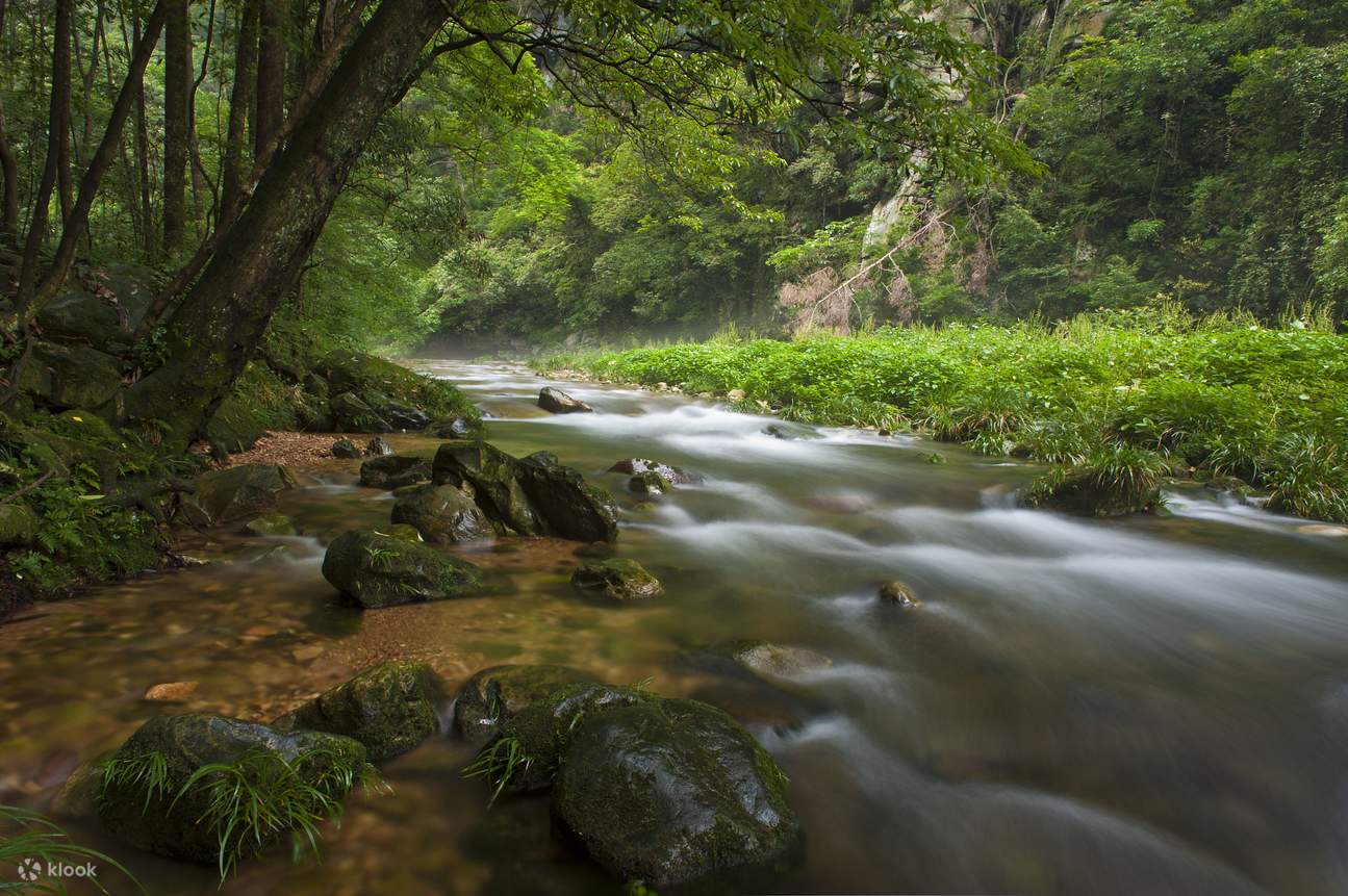Zhangjiajie National Forest Park (Wulingyuan) + Shili Art Gallery ...