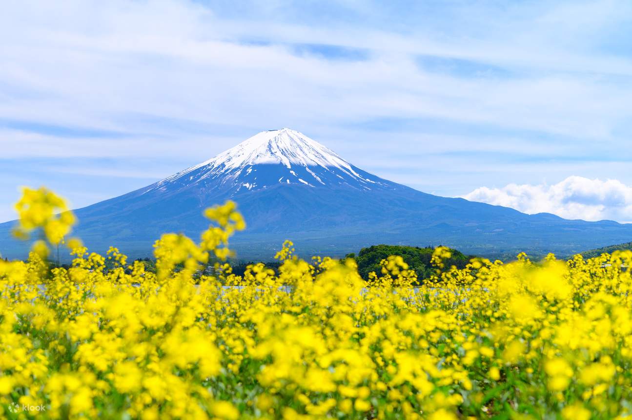 One-day trip to Mount Fuji in Japan | Arakurayama Sengen Park ...