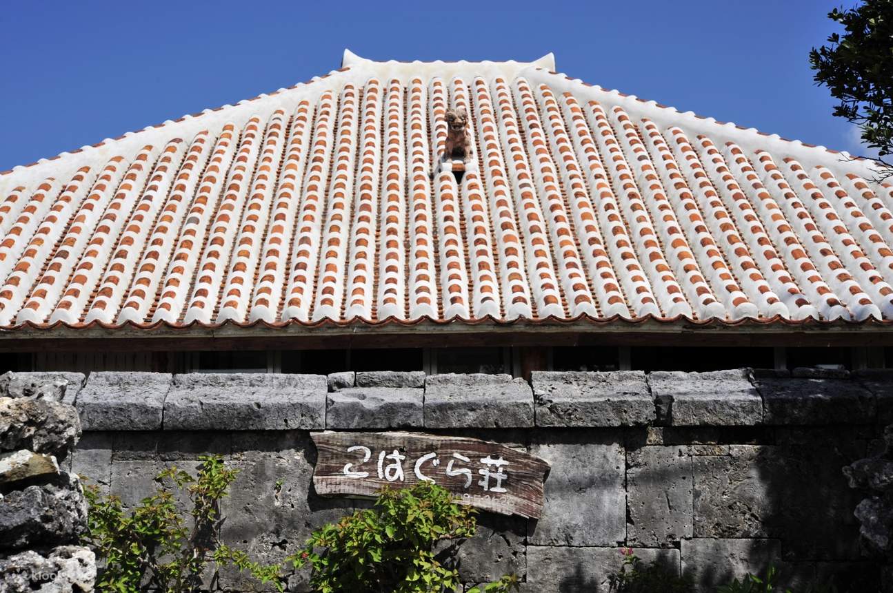 Discover the Hidden Gems of Okinawa in This Kohama Island and Taketomi ...