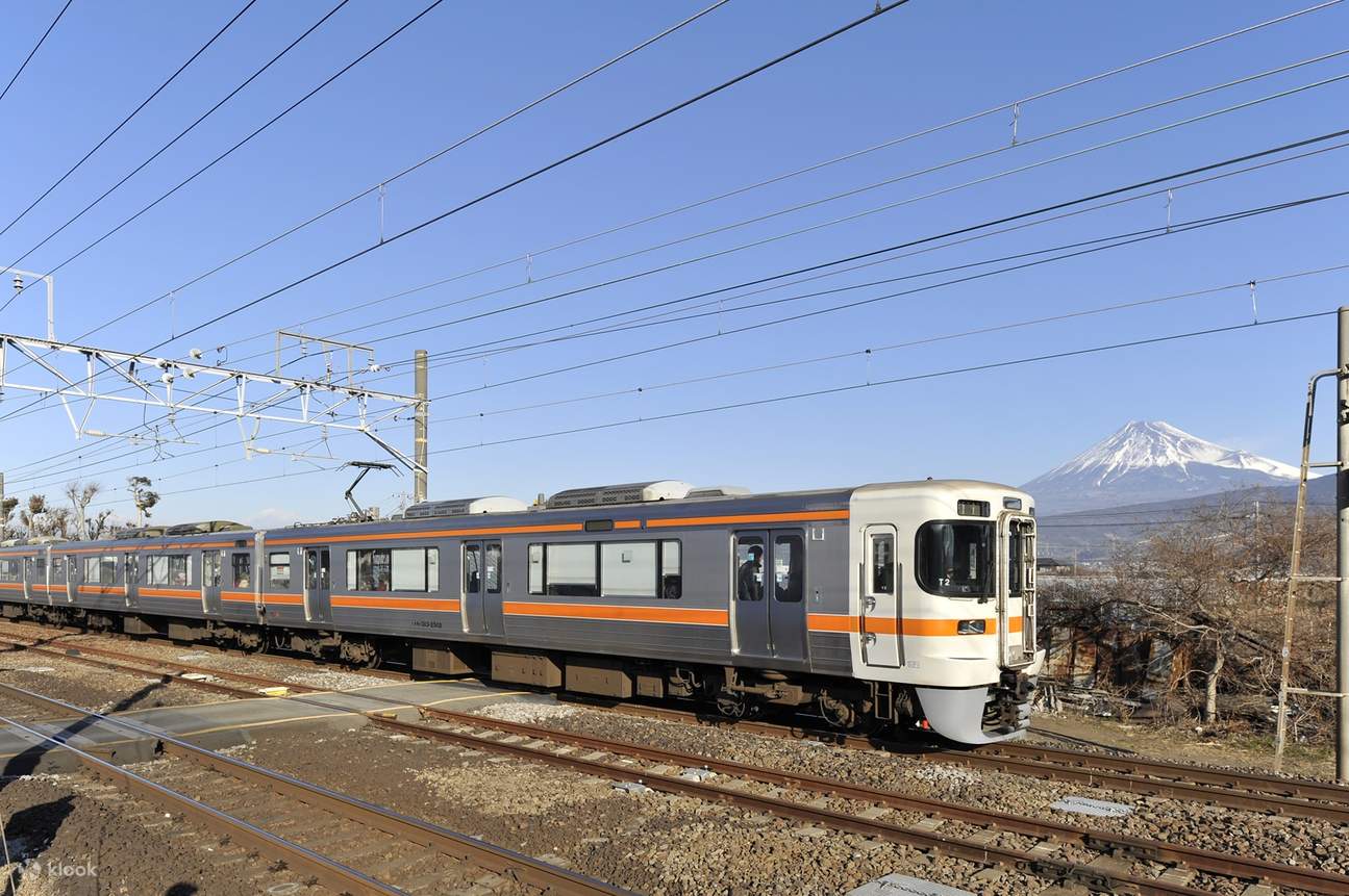 Mt. Fuji & Shizuoka Wasabi Farm Tour with Hokusai Train & Shinkansen ...