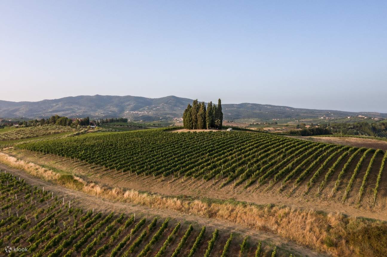 Exquisite Wine Tasting in the Heart of the Tuscan Countryside - Klook ...