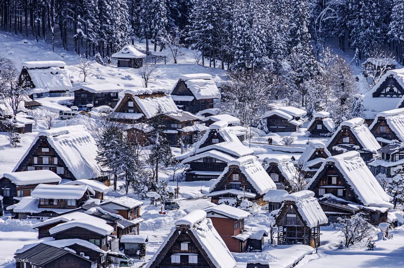 Excursión de un día al pueblo de Gifu Shirakawa-go Gassho y al casco ...