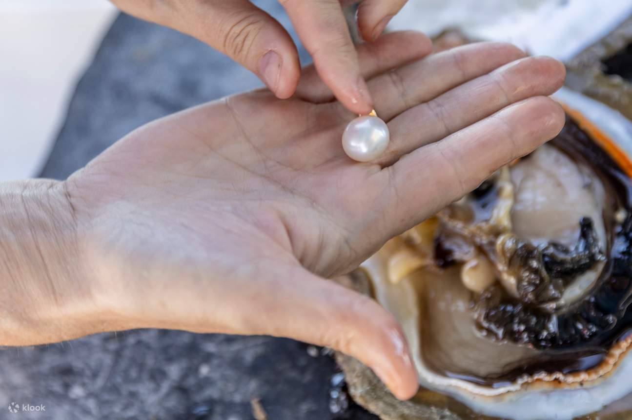 Paspaley Pearl Farm Tour - Klook